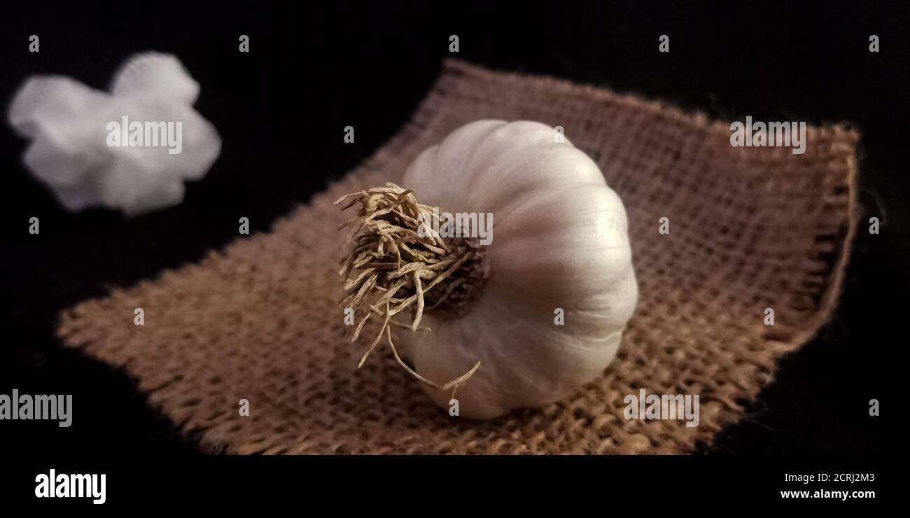 Fresh single white garlic sack mat surface set isolated on black ...