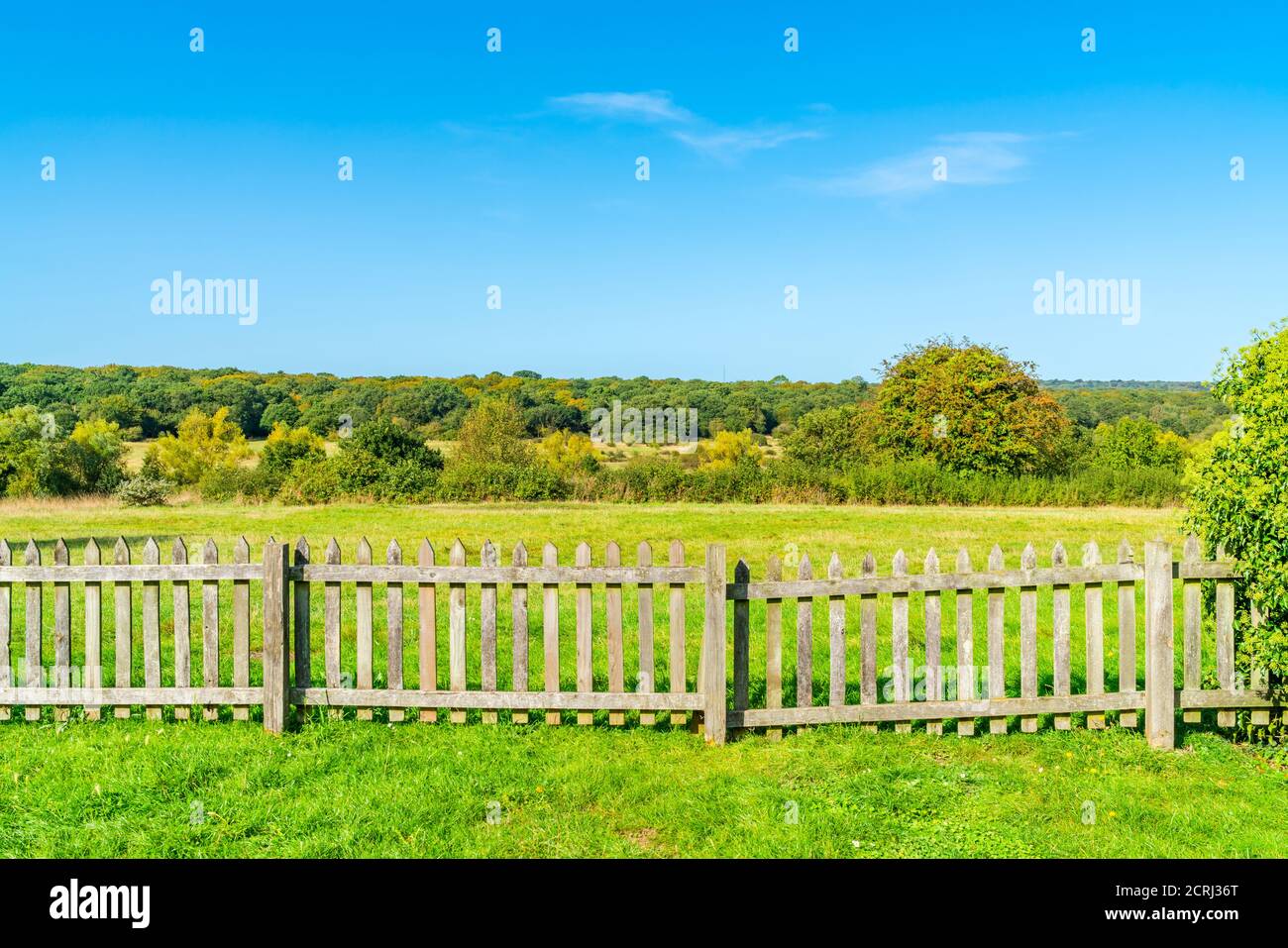 Epping forest oak trail hi-res stock photography and images - Alamy