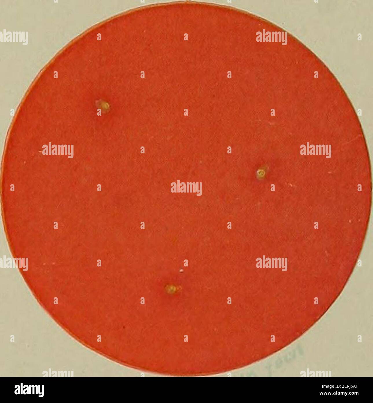 . A practical treatise on medical diagnosis for students and physicians ...