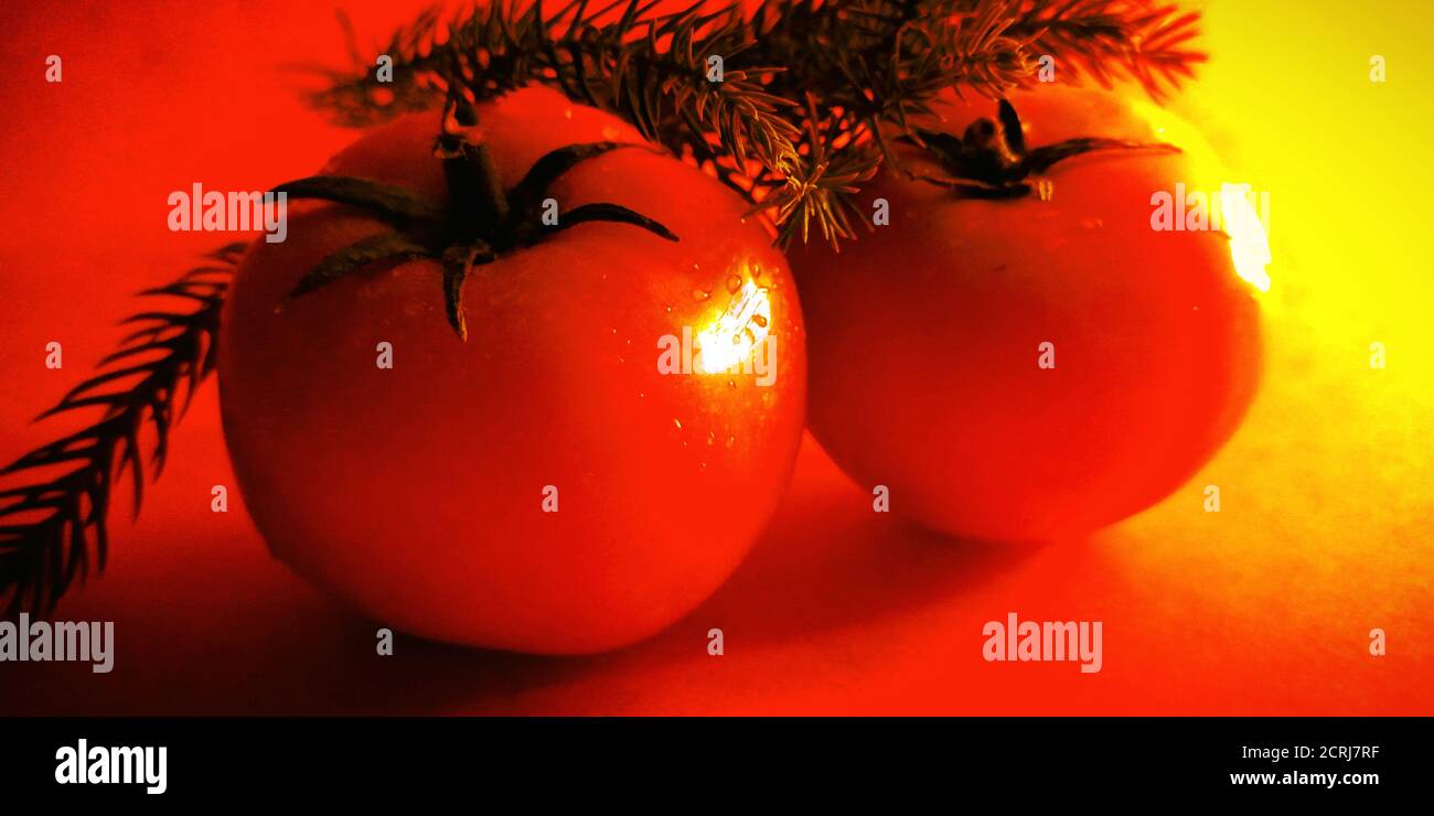 Double Tomato isolated with set of fruit collection at orange ...