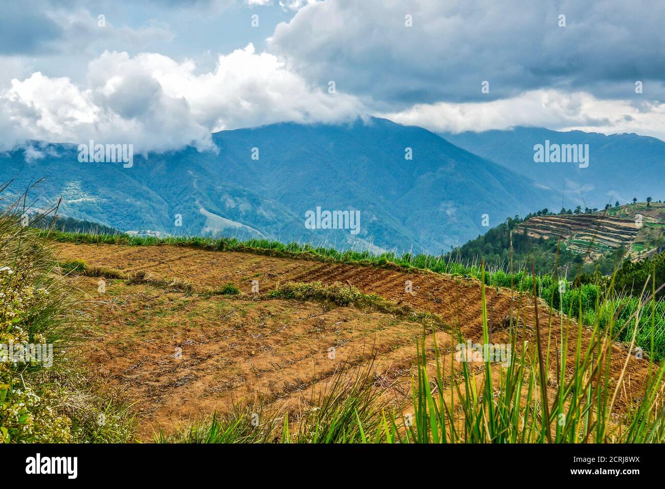 Farm Making Ready for Planting, Kabayan, Benguet, Philippines Stock ...