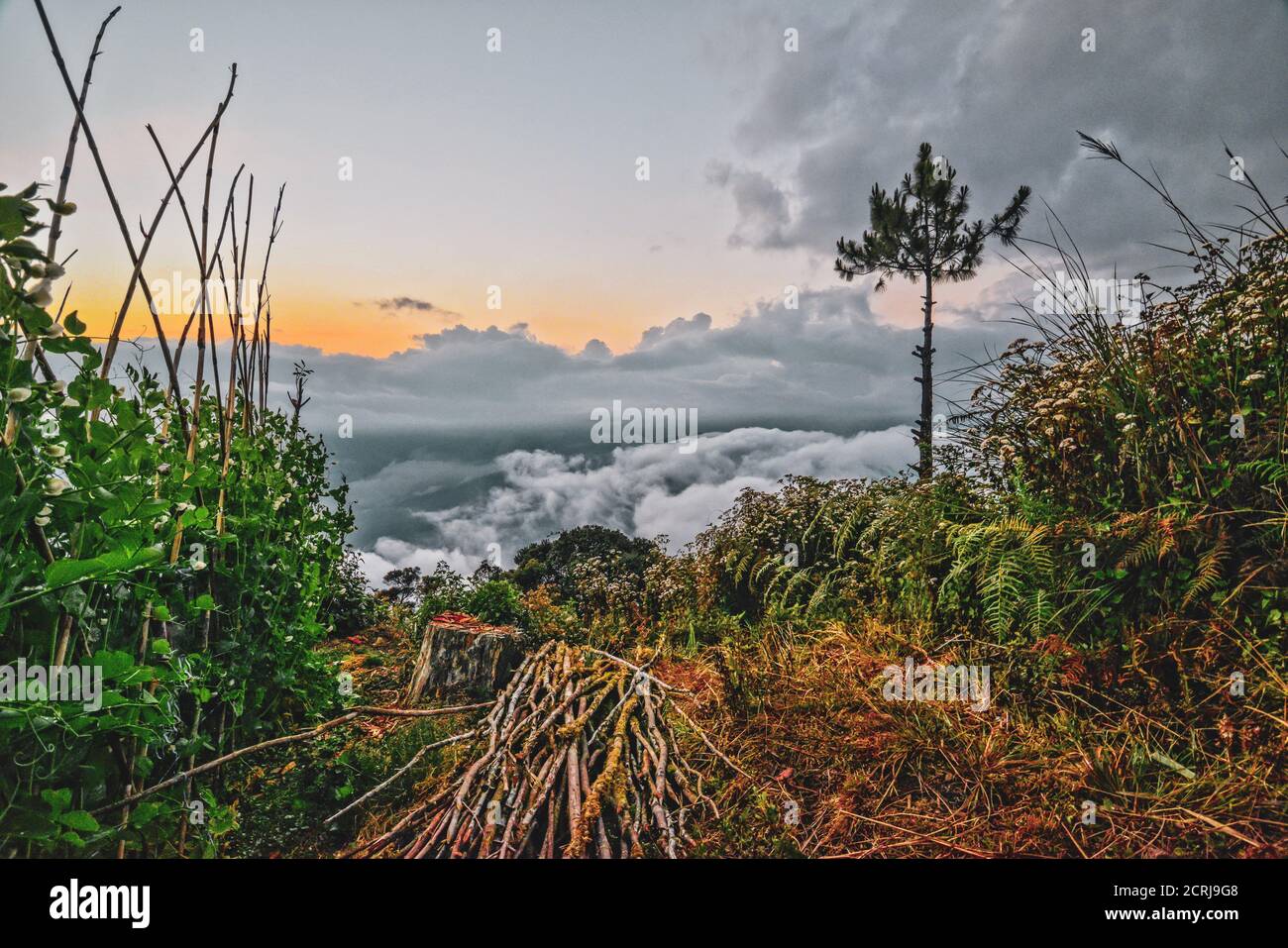 Clouds Formation Over the Mountain, Mount Pulag, Benguet, Philippines ...