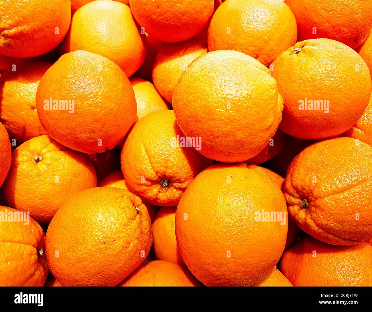 Group of growers horticulture hi-res stock photography and images - Alamy