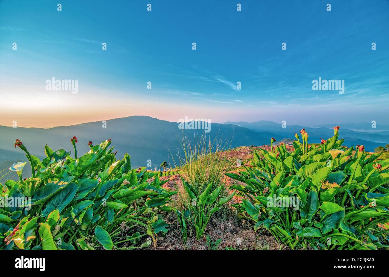 Clear twilight hi-res stock photography and images - Alamy