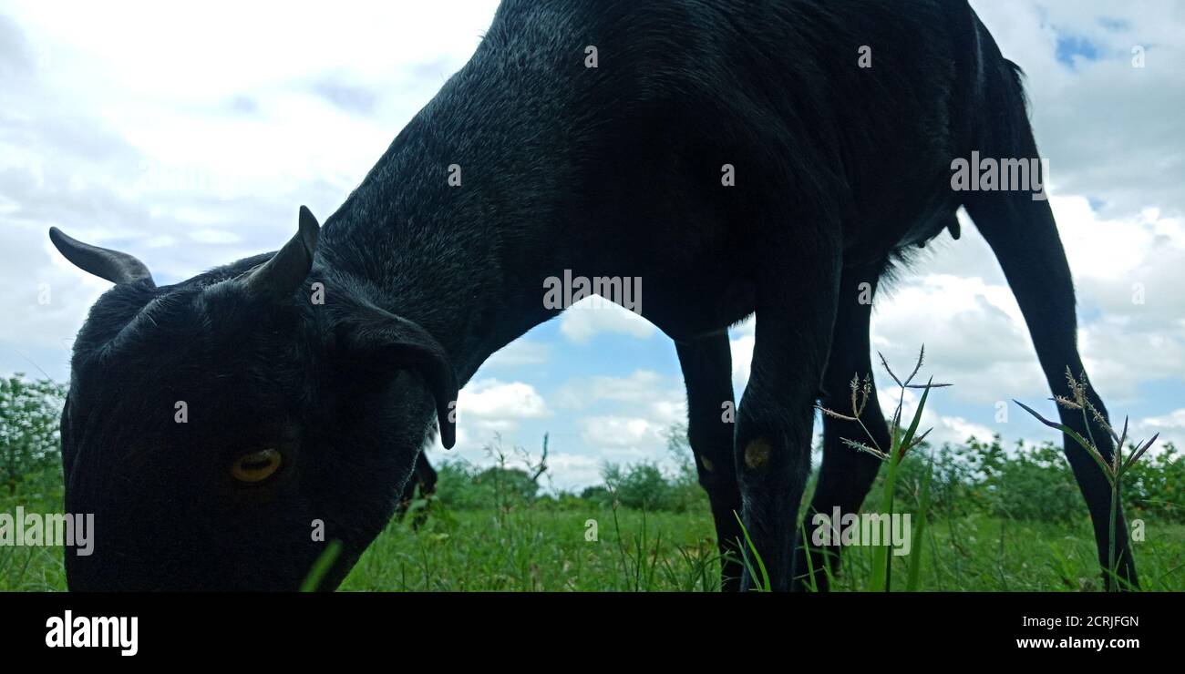 Peta indonesia hi-res stock photography and images - Alamy