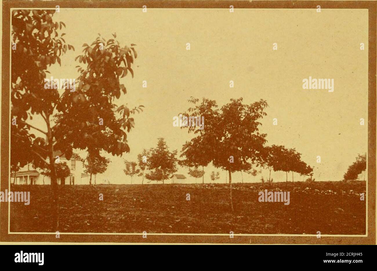 Junction city oregon hi-res stock photography and images - Alamy