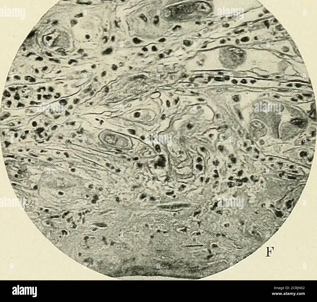 . Radiography, x-ray therapeutics and radium therapy . • Jr^^-. PLATE ...