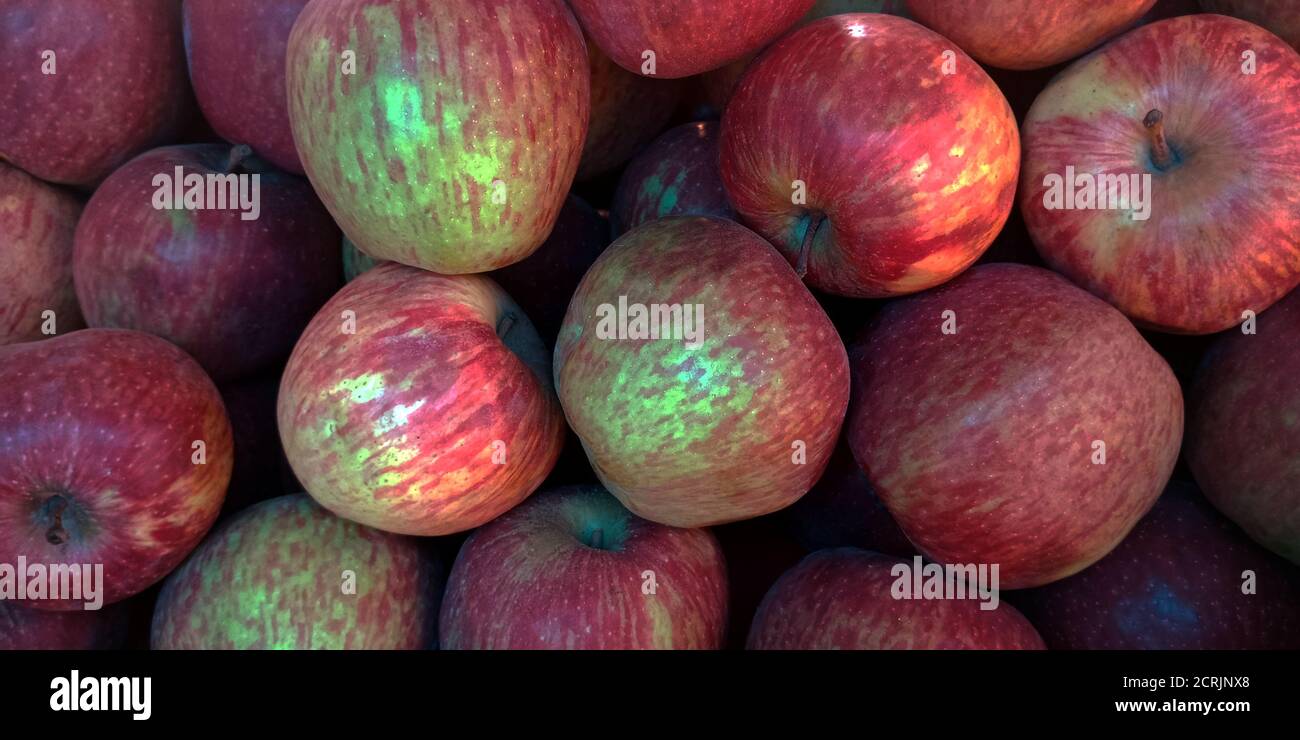 Green apple isolated with set of fruit collection at agriculture ...