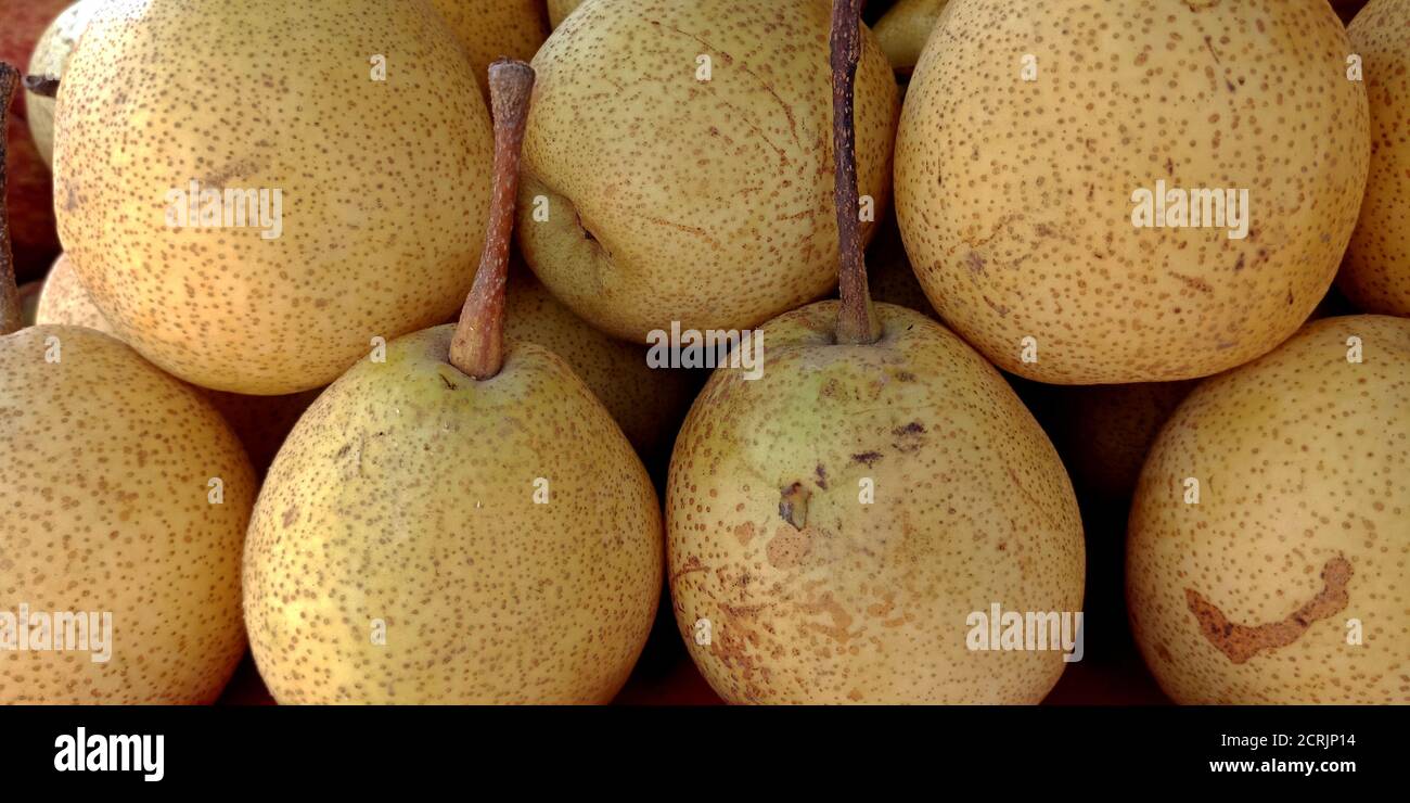 Fresh yellow pears isolated with set of fruit collection at agriculture ...