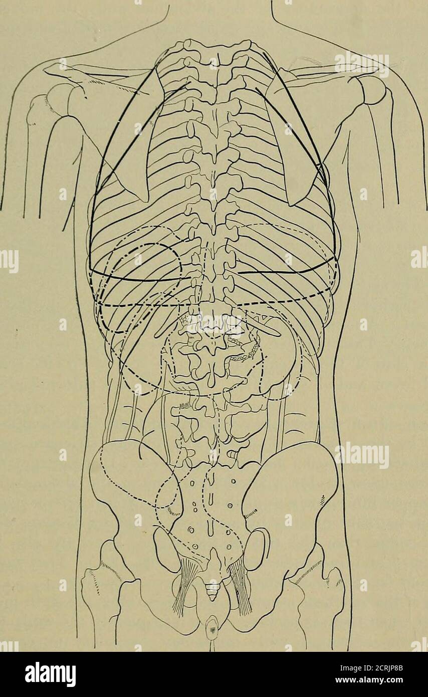 . A practical treatise on medical diagnosis for students and physicians ...