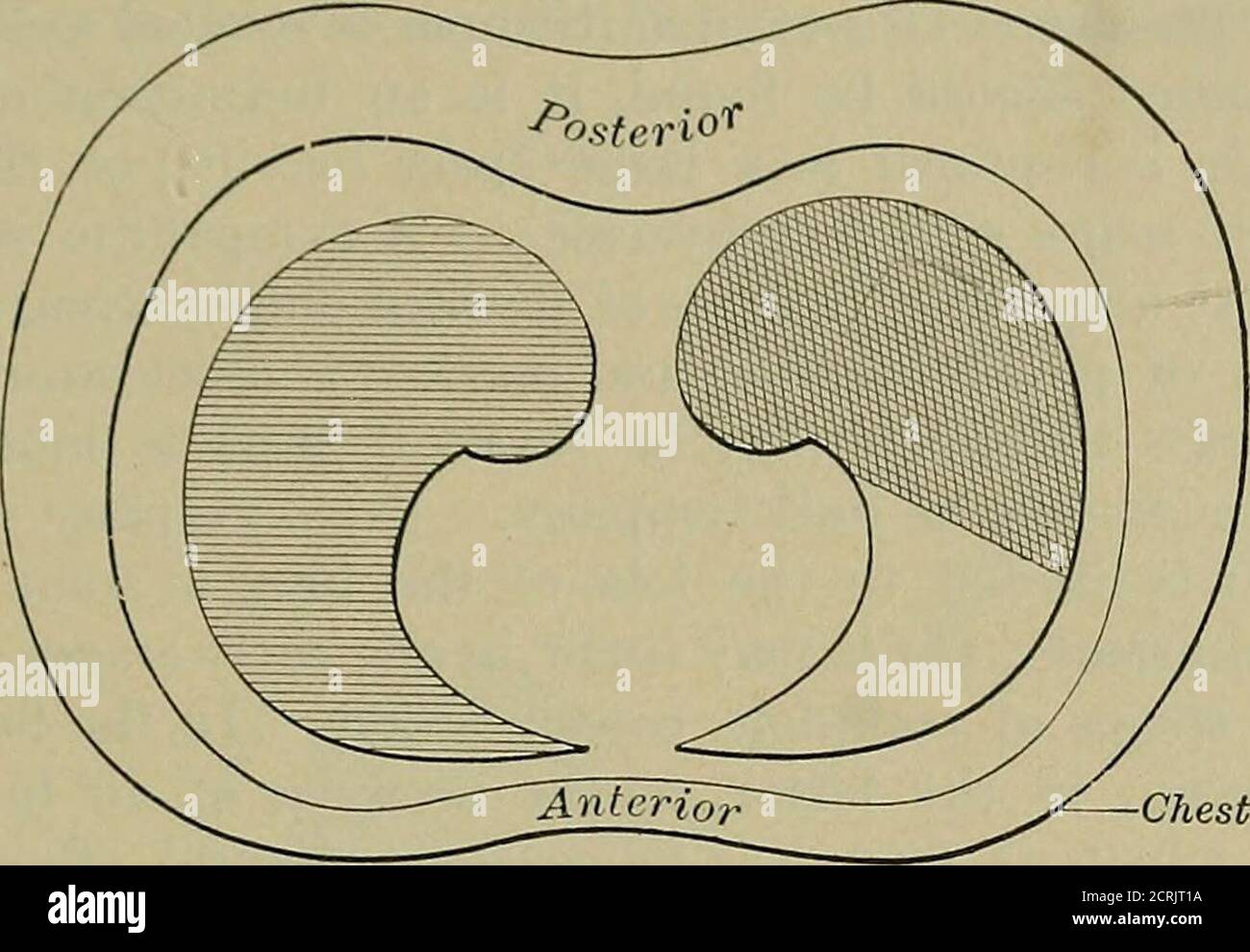. A practical treatise on medical diagnosis for students and physicians ...