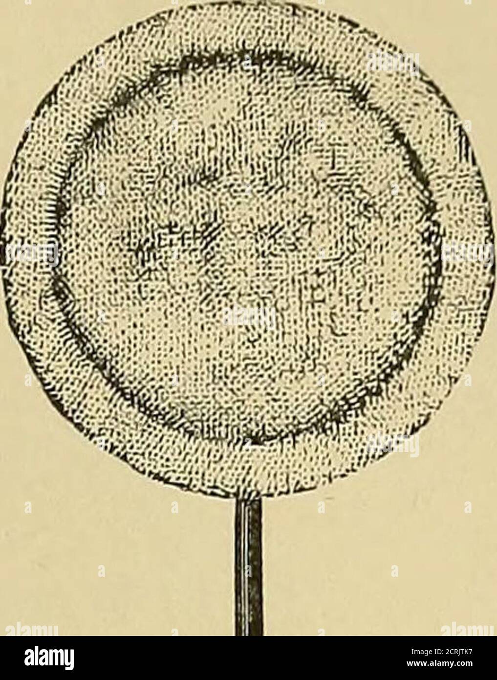 . Electricity : its medical and surgical applications, including ...