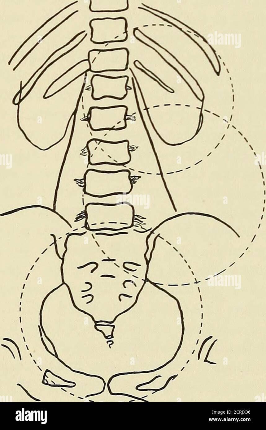 Left hypochondriac hi-res stock photography and images - Alamy