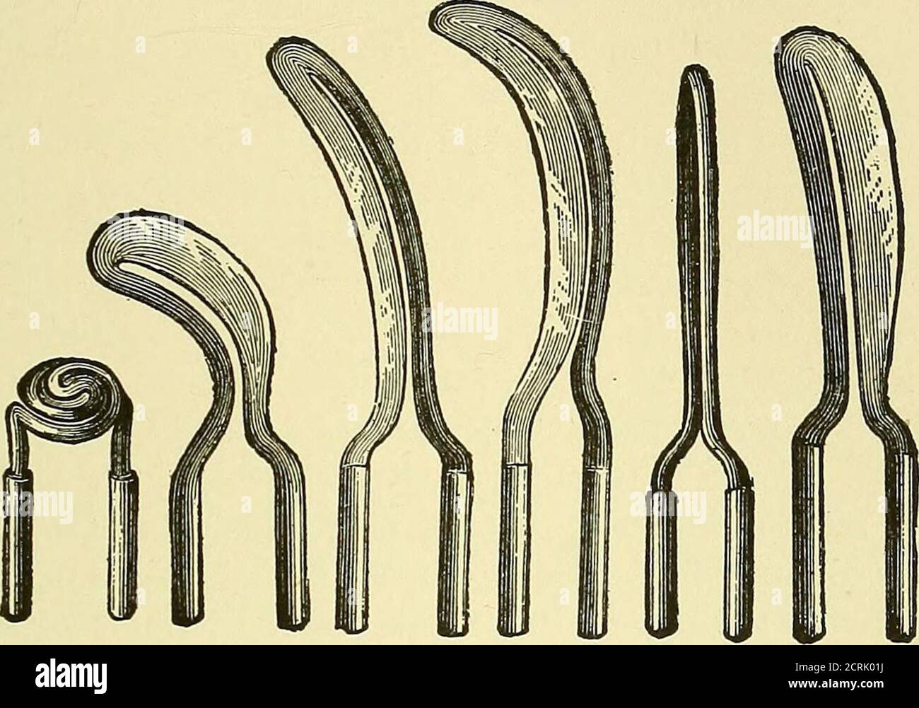 . The medical and surgical uses of electricity : including the X-ray ...