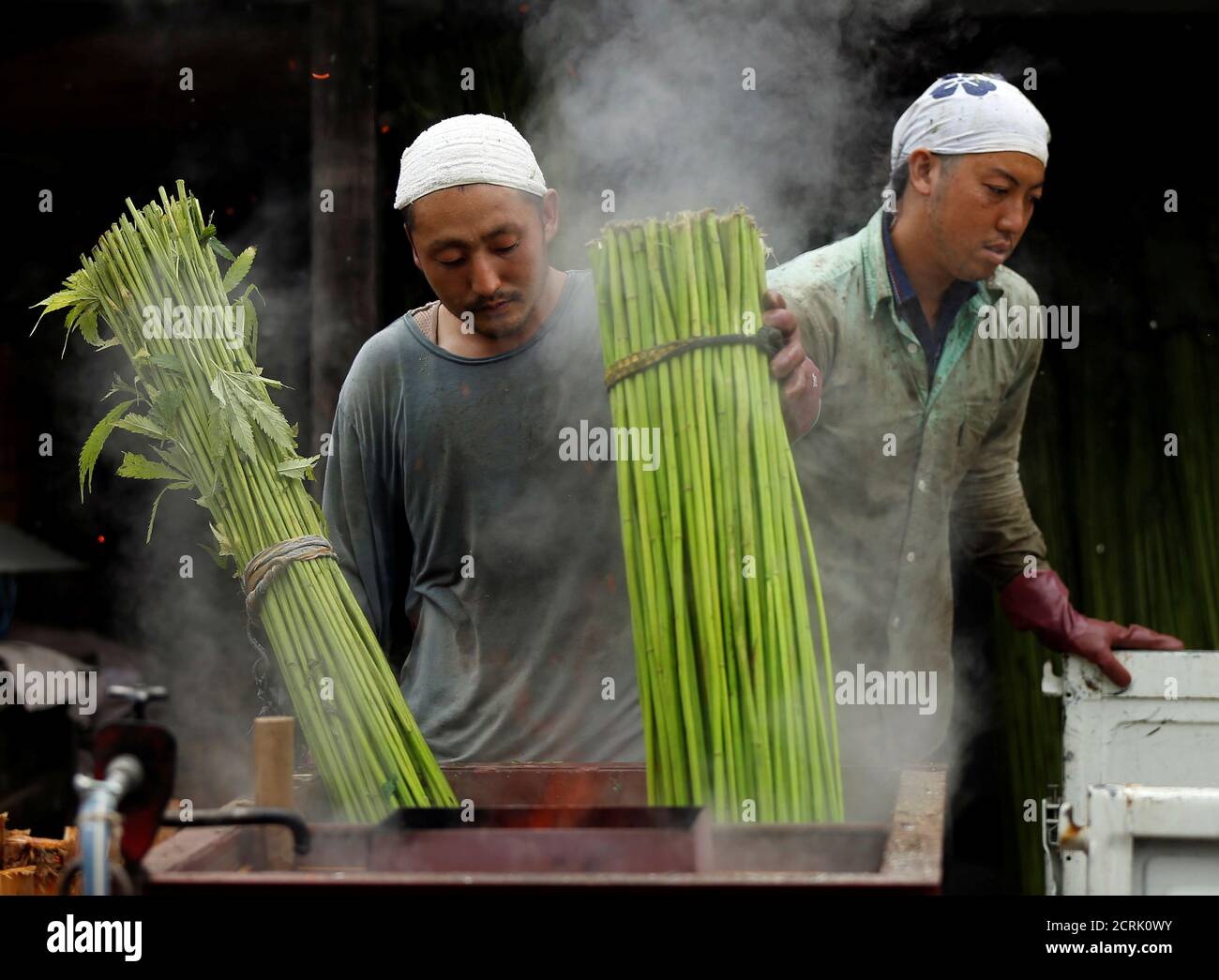 Marijuana farm hi-res stock photography and images - Alamy