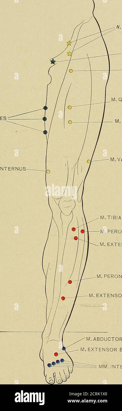 . Electricity : its medical and surgical applications, including ...