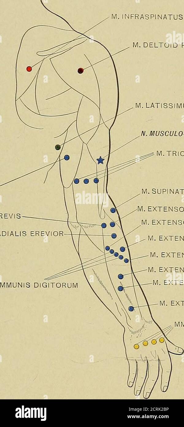 . Electricity : its medical and surgical applications, including ...