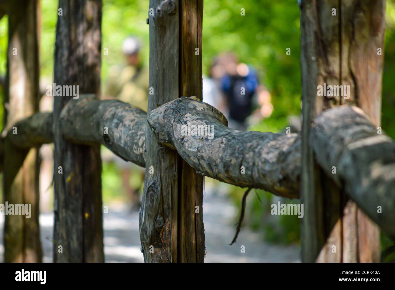 Wood fence background. Summer time, weathered wooden fence Stock Photo ...