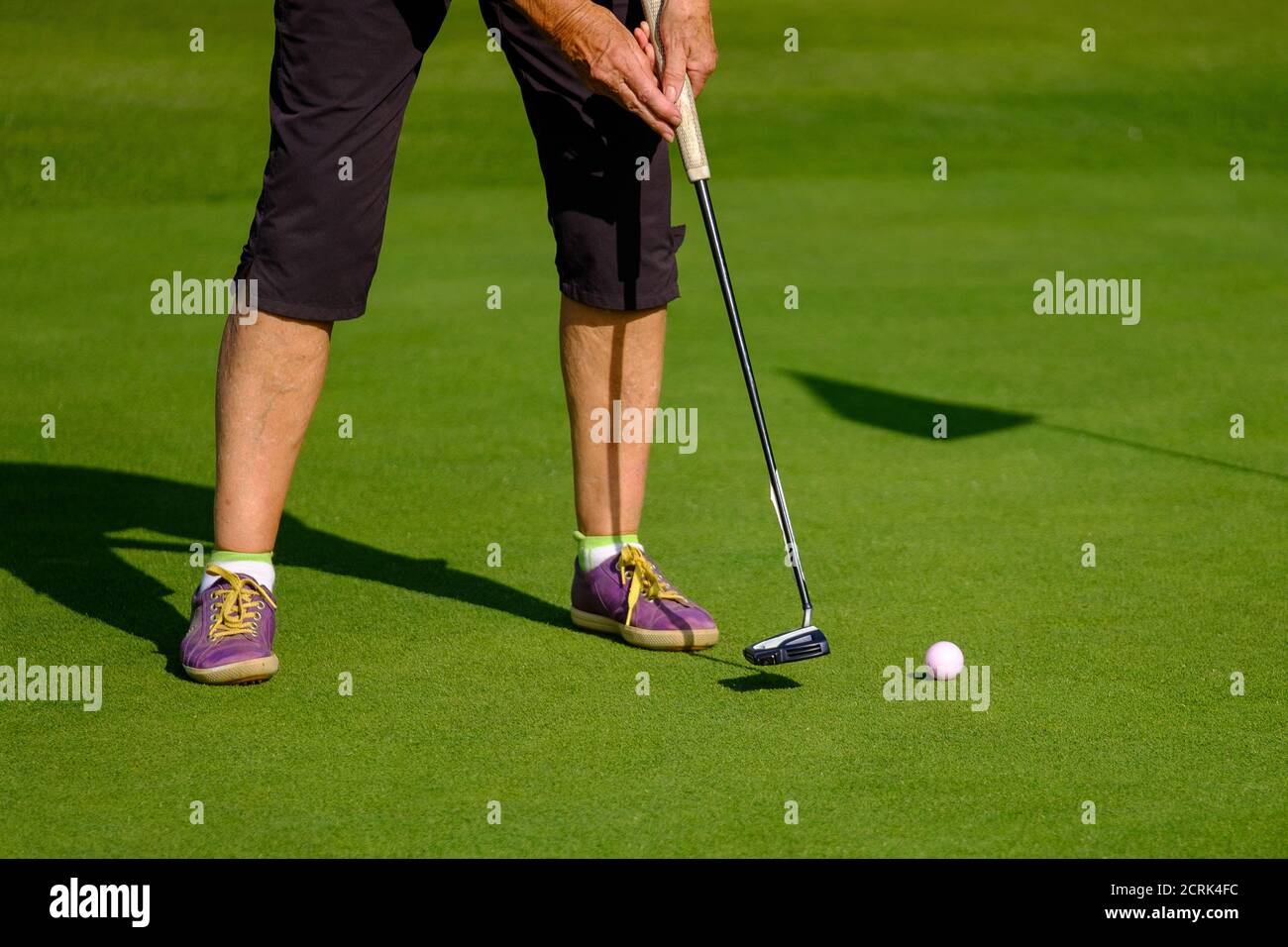 feet of female golfer in pink shoes putting ball towards hole Stock ...