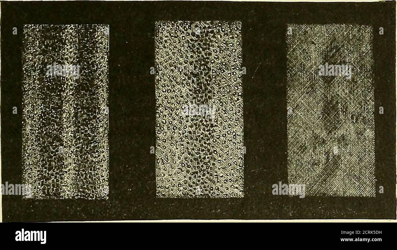 . The medical and surgical uses of electricity : including the X-ray ...