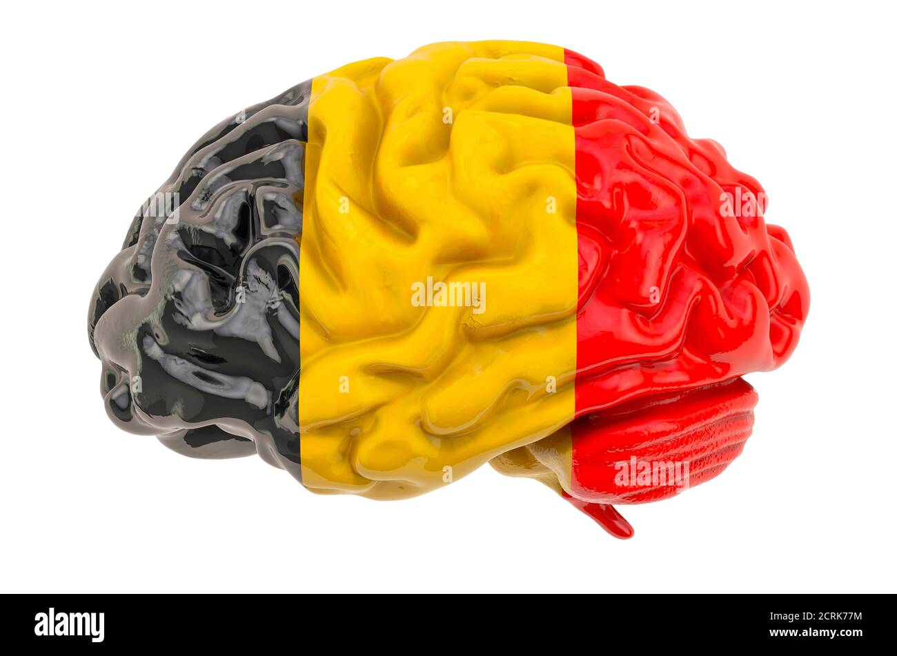 Human brain with Belgian flag. Scientific research and education in ...
