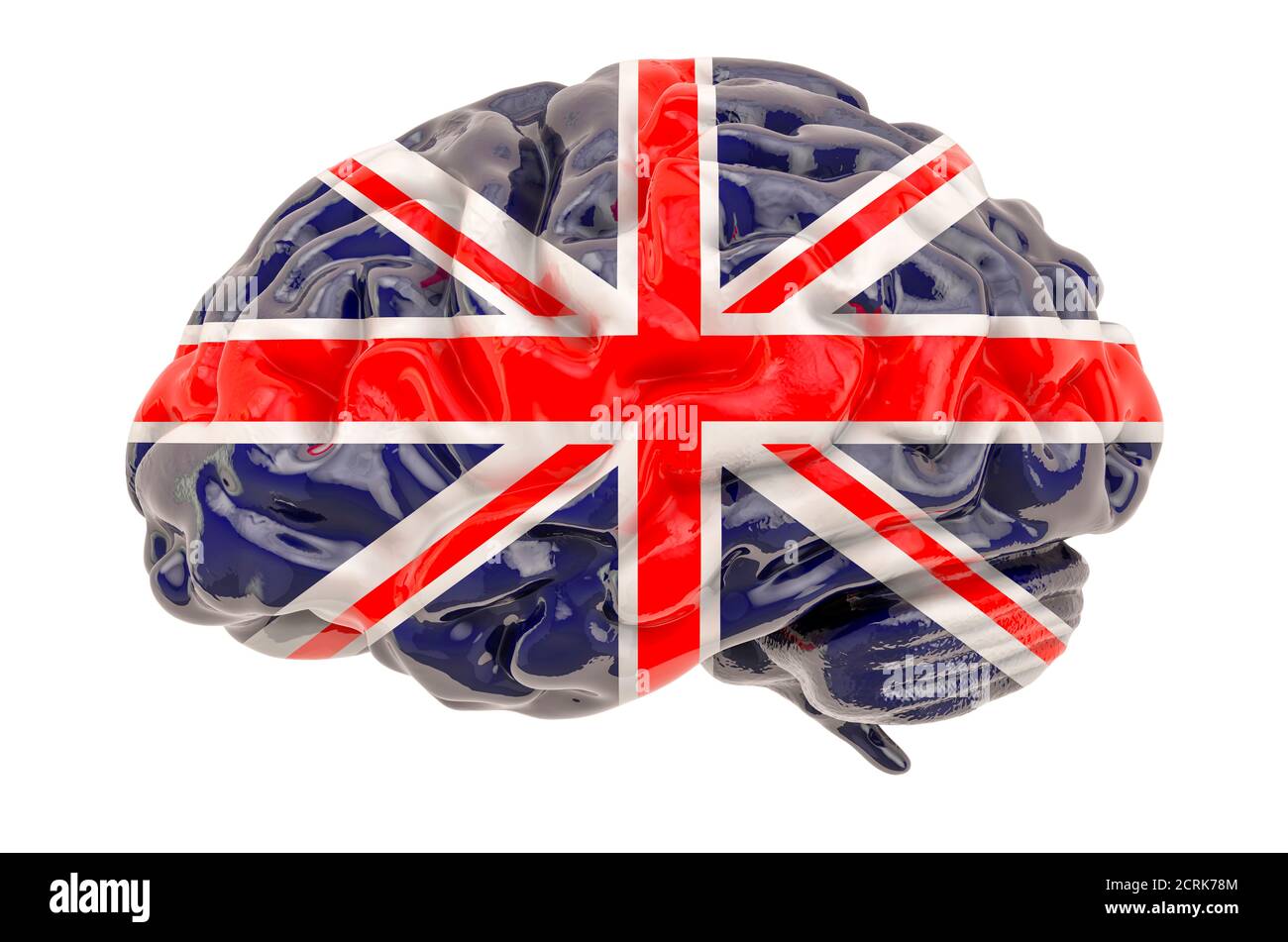 Human brain with British flag. Scientific research and education in the ...