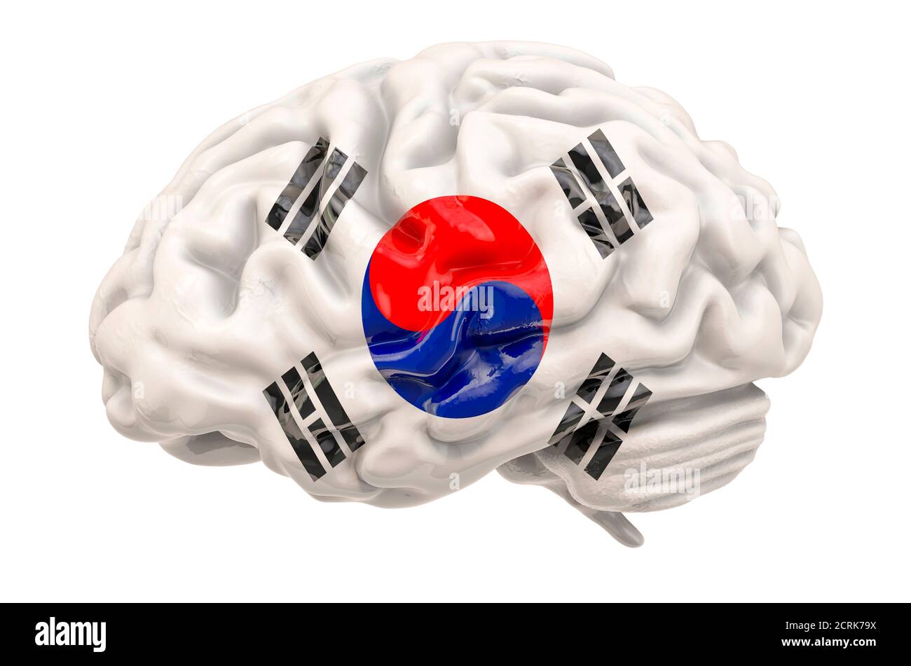 Human brain with South Korea flag. Scientific research and education in ...