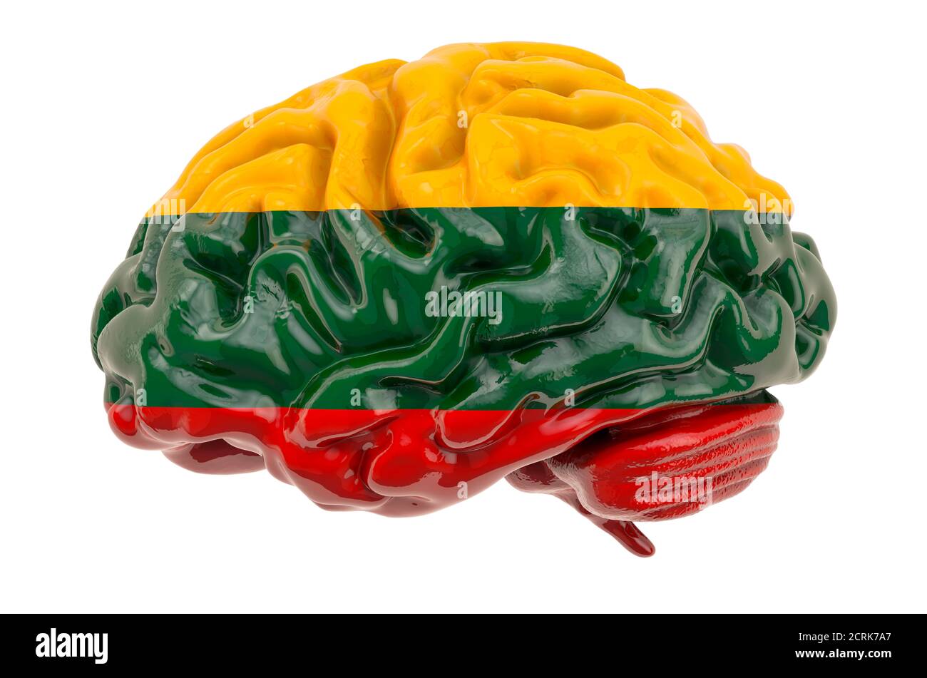 Human brain with Lithuanian flag. Scientific research and education in ...