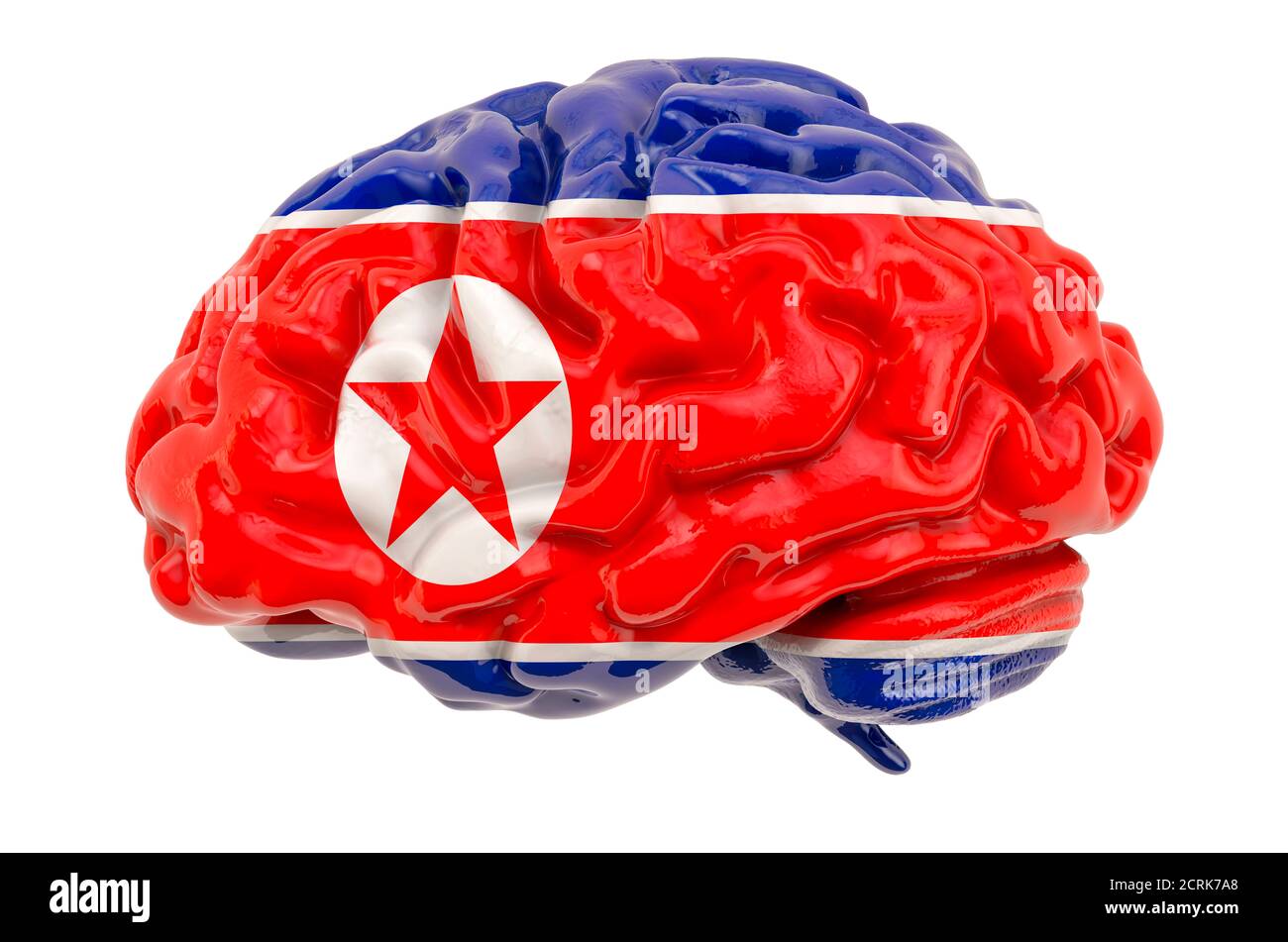 Human brain with North Korean flag. Scientific research and education ...