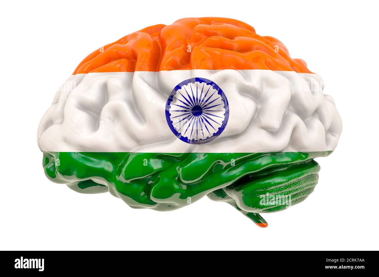 Human brain with Indian flag. Scientific research and education in ...