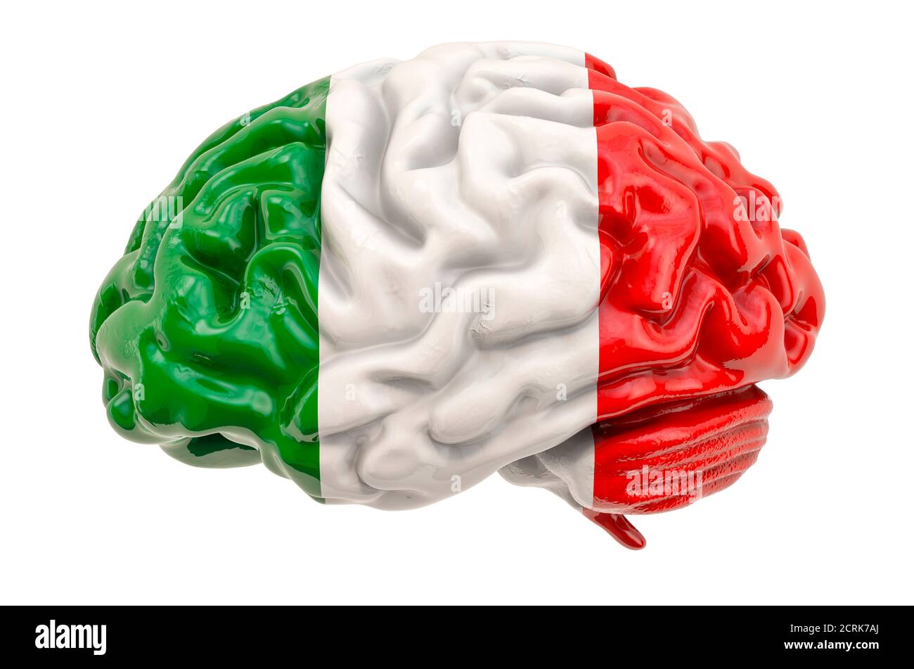 Human brain with Italian flag. Scientific research and education in ...