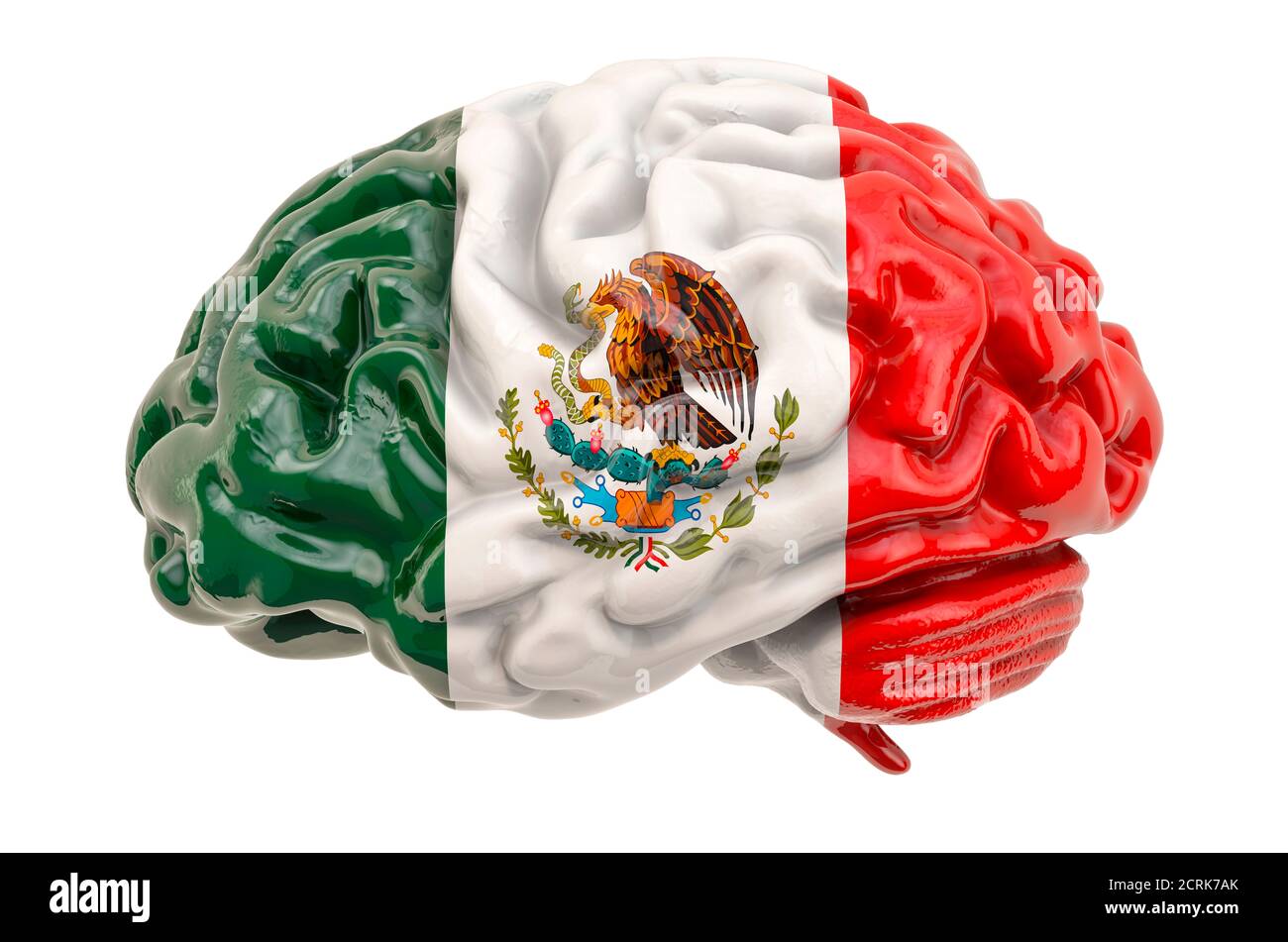 Human brain with Mexican flag. Scientific research and education in ...