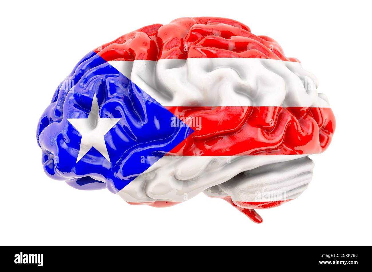 Human brain with Puerto Rican flag. Scientific research and education ...