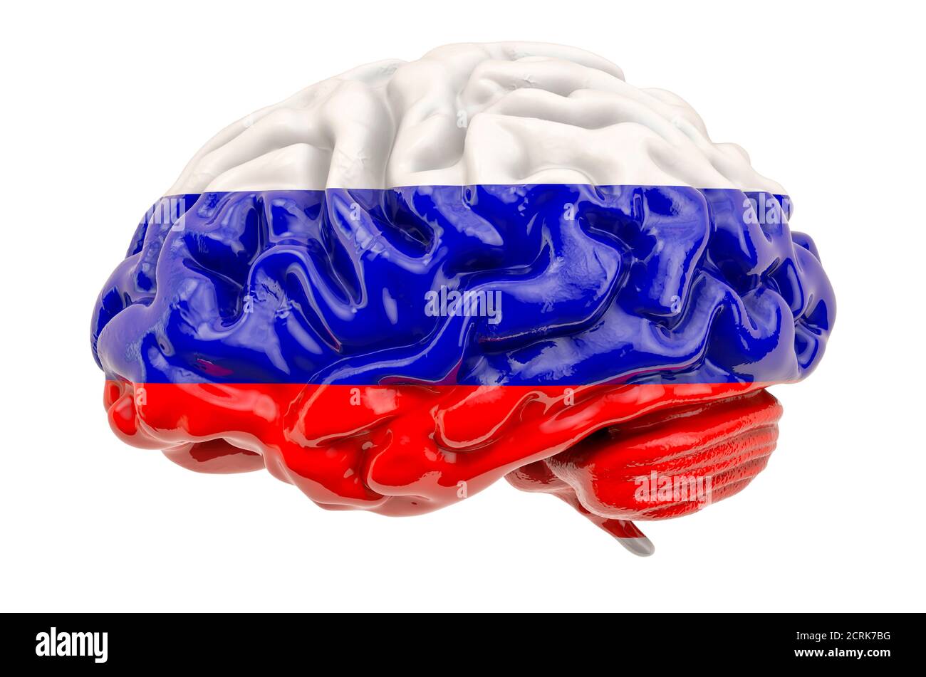 Human brain with Russian flag. Scientific research and education in ...