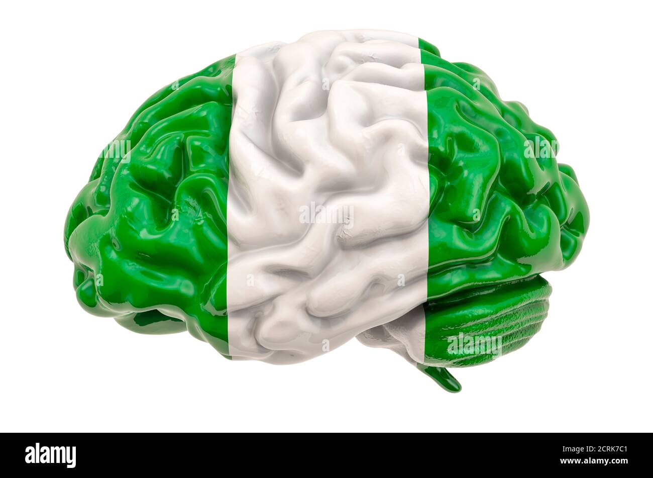 Human brain with Nigerian flag. Scientific research and education in ...