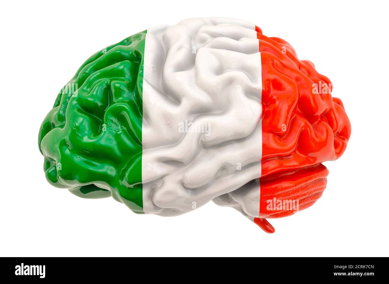 Human brain with Irish flag. Scientific research and education in ...