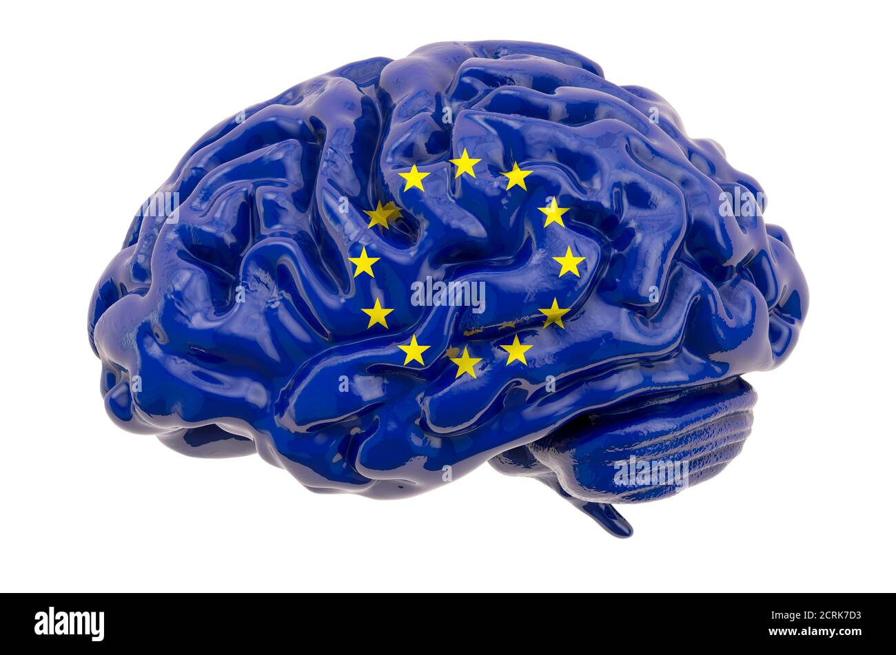 Human brain with the European Union flag. Scientific research and ...