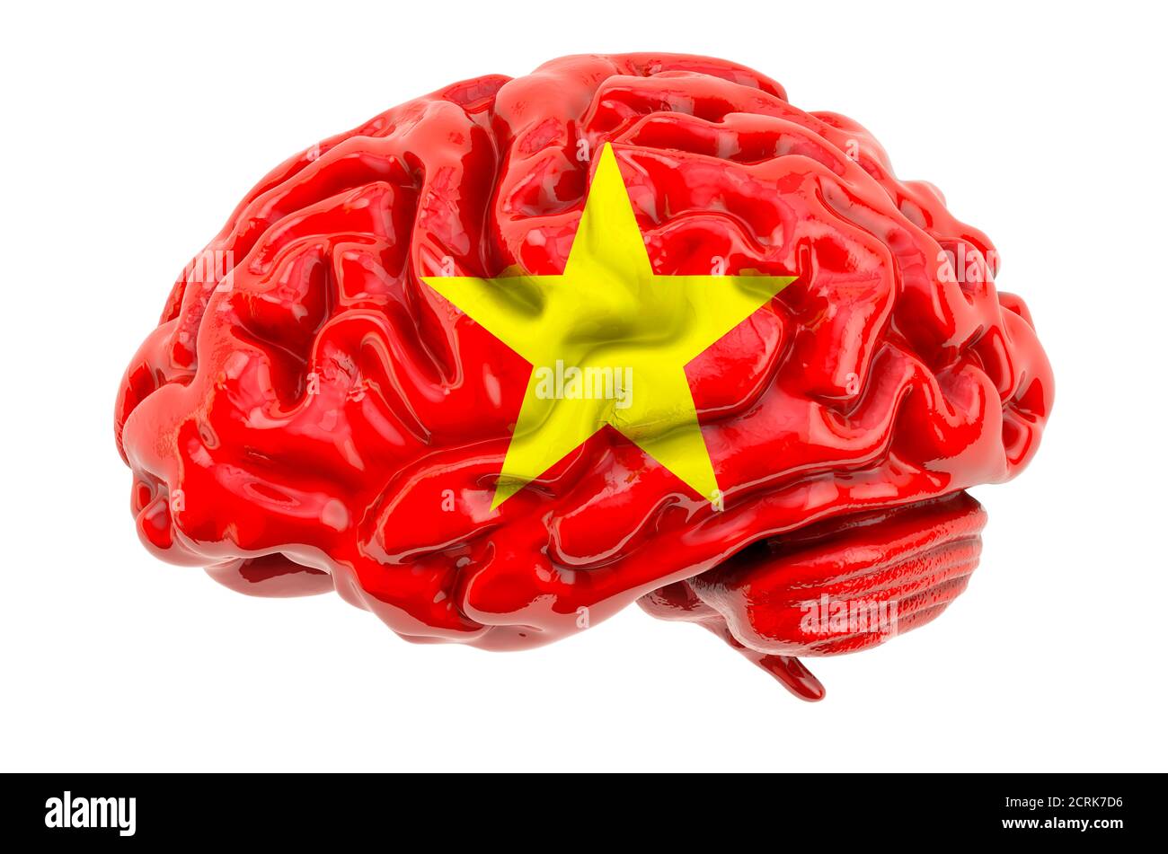 Human brain with Vietnamese flag. Scientific research and education in ...