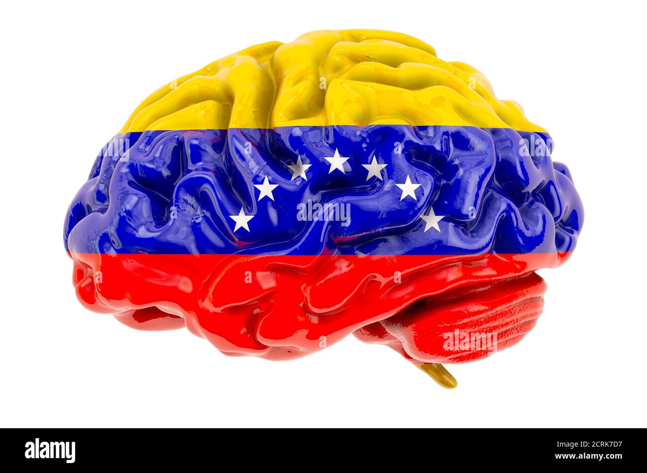 Human brain with Venezuelan flag. Scientific research and education in ...