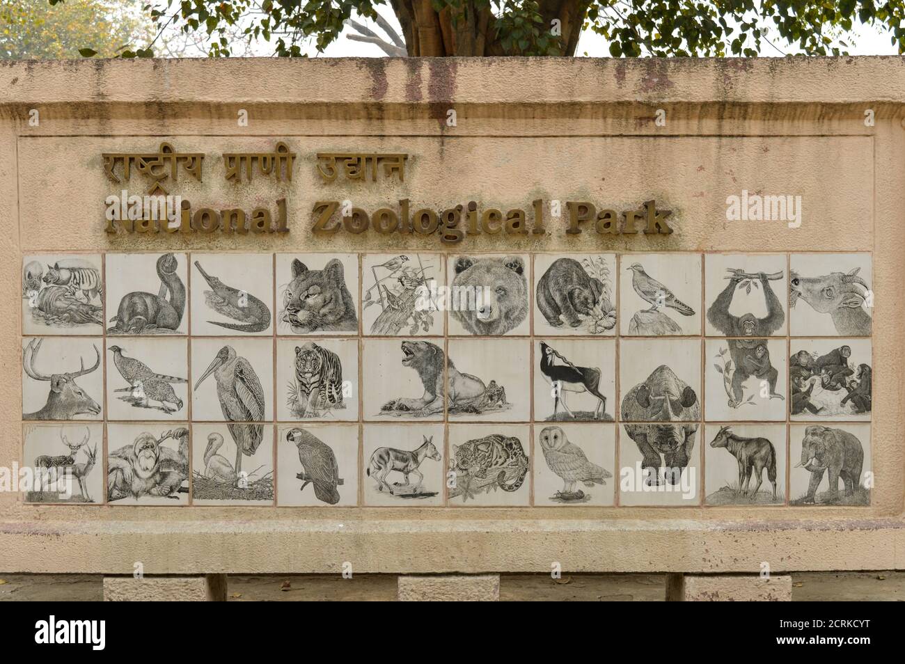 National zoological park hi-res stock photography and images - Alamy
