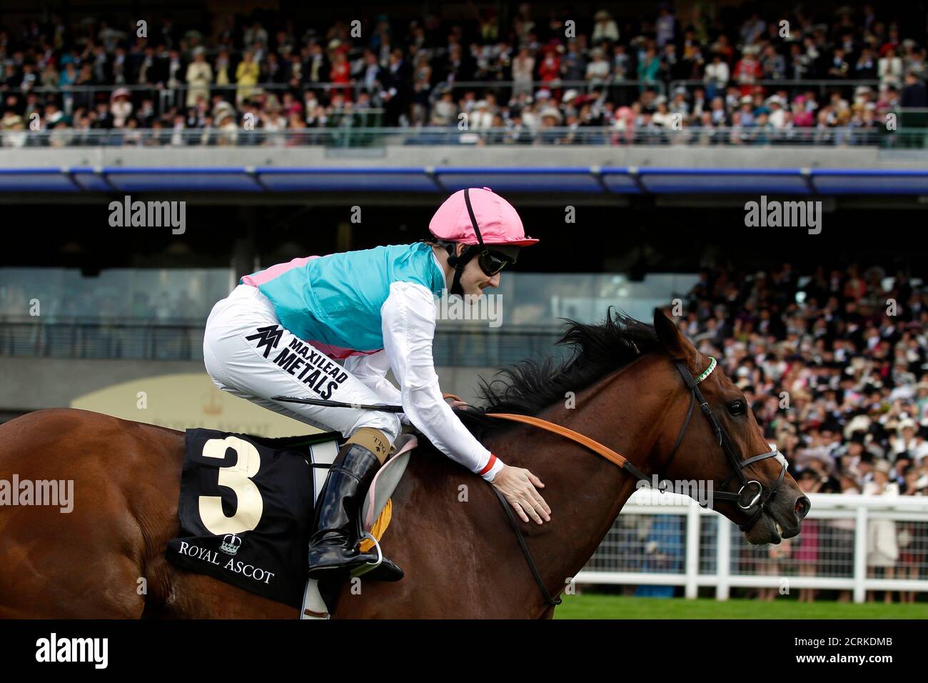 Frankel ascot hi-res stock photography and images - Alamy