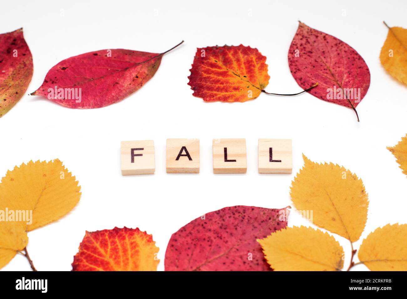FALL text made from wooden blocks with leaves. Autumn backdrop Stock ...