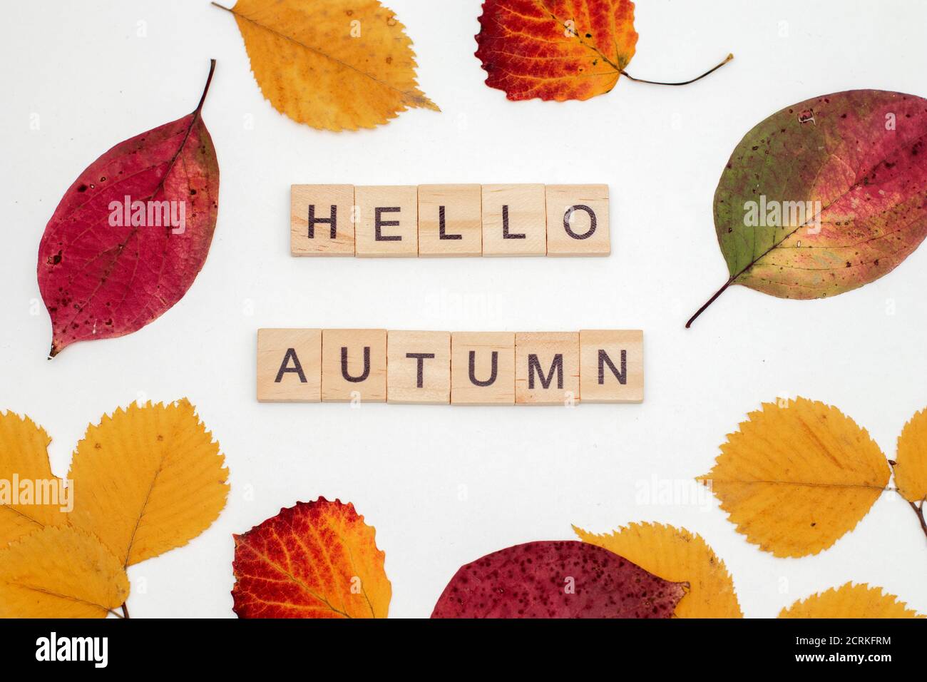 Hello Autumn text made from wooden blocks with leaves. Autumn backdrop ...