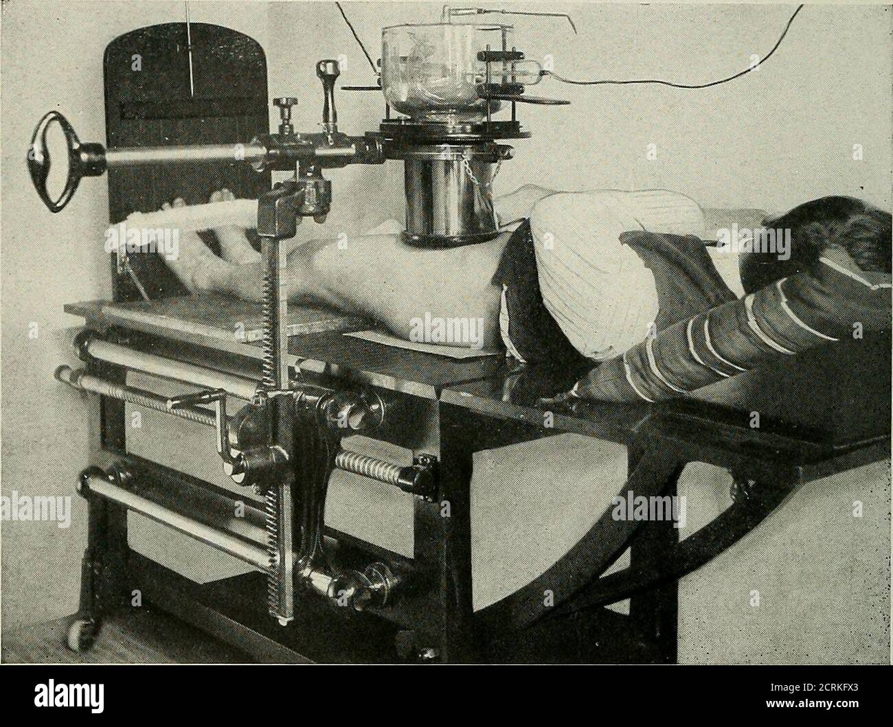 Ventral crest hi-res stock photography and images - Alamy