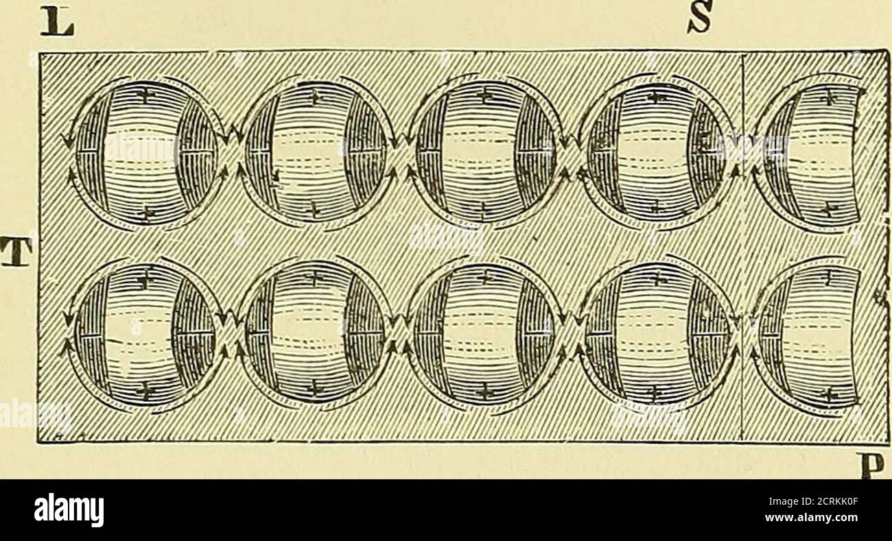 . The medical and surgical uses of electricity : including the X-ray ...