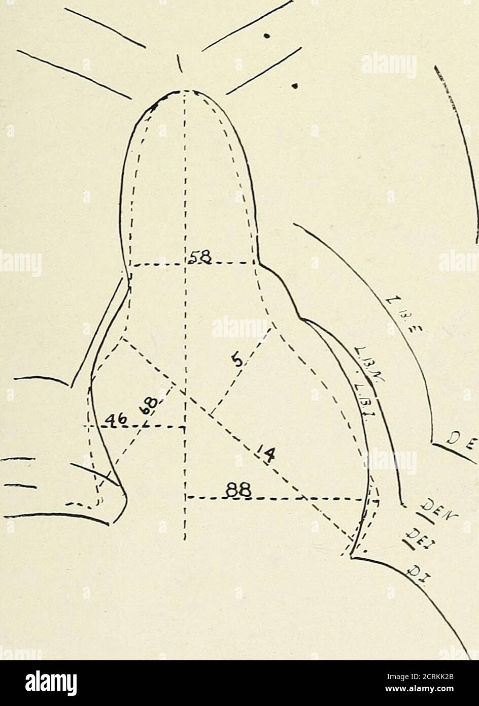 . Roentgen interpretation; a manual for students and practitioners ...