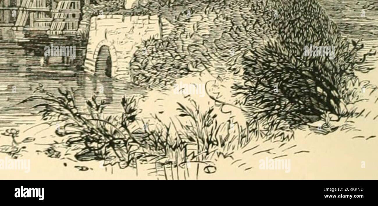 Incline railway viaduct hi-res stock photography and images - Alamy