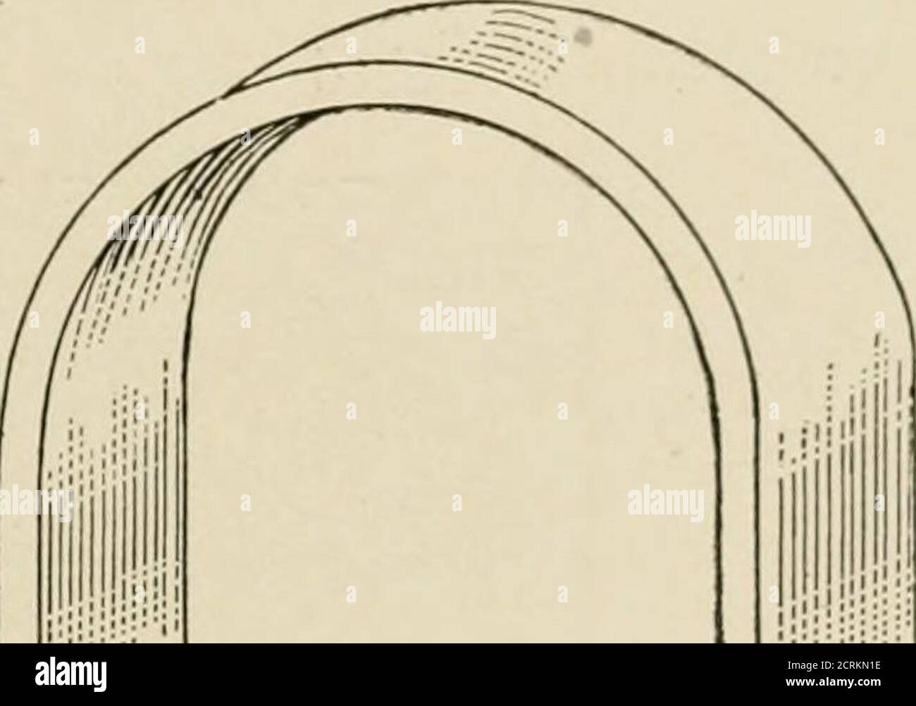 . Elementary and dental radiography / by Howard Riley Raper Stock Photo ...