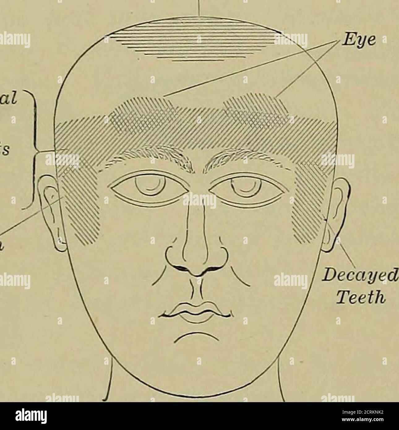 . A practical treatise on medical diagnosis for students and physicians ...