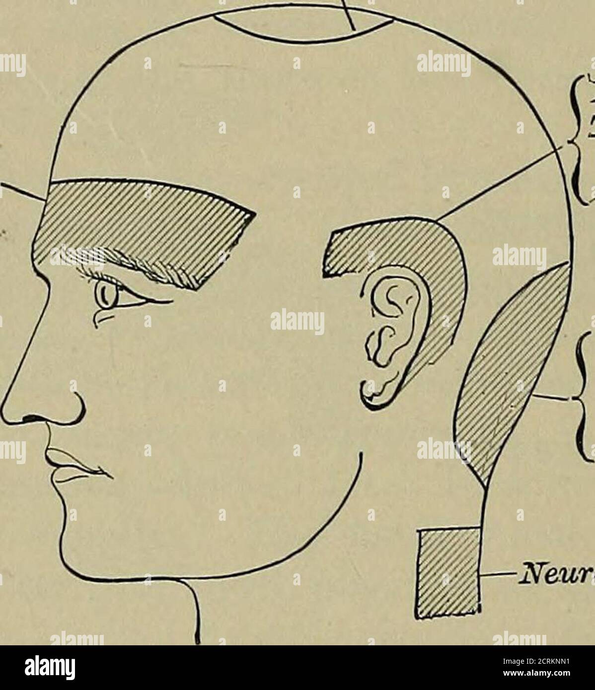 . A practical treatise on medical diagnosis for students and physicians ...